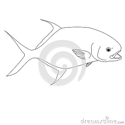 A Simple Outline Of A Permit Fish Vector Illustration | CartoonDealer ...