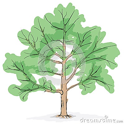 Simplified Image - Crone Of Tree Cartoon Vector | CartoonDealer.com ...