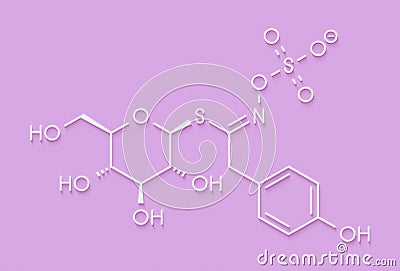 Sinalbin Glucosinolate Molecule. Present In Seeds Of White Mustard ...