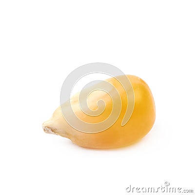 Single Corn Kernel Isolated Stock Photo - Image: 75112342