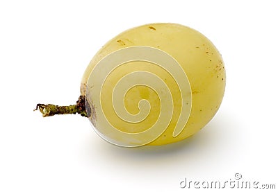 Single Grape Royalty Free Stock Photos - Image: 3403228
