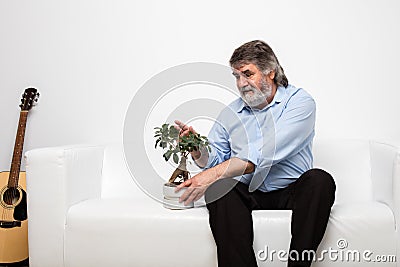 Single Old Men On White Couch With A Bonsai Royalty-Free Stock ...