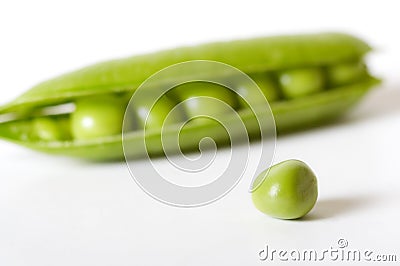 Single Pea Royalty Free Stock Photo - Image: 2892155