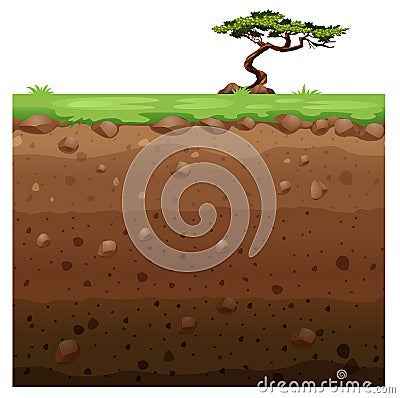 Single Tree On Surface And Underground Scene Stock Vector - Image: 64562887