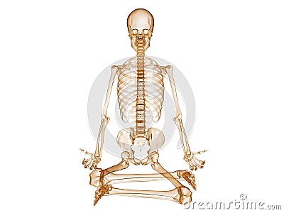Sitting Skeleton Royalty Free Stock Images - Image: 12989619