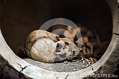 Skeleton Dead Body Head Royalty-Free Stock Image | CartoonDealer.com ...