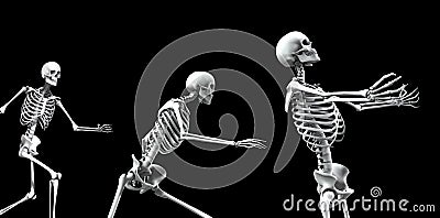 Skeleton Group Stock Photo - Image: 3799340