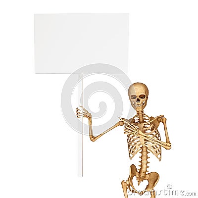 Skeleton Holding A Sign Isolated On White Stock Photo - Image: 26480000
