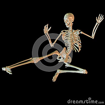 Skeleton In Kickboxing Pose Stock Photography - Image: 15765352