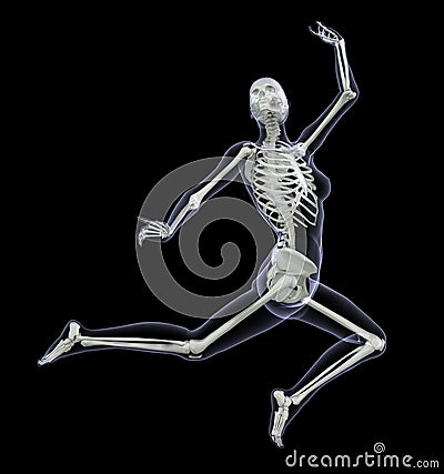 Skeleton In Motion 2 Royalty Free Stock Photo - Image: 2304425