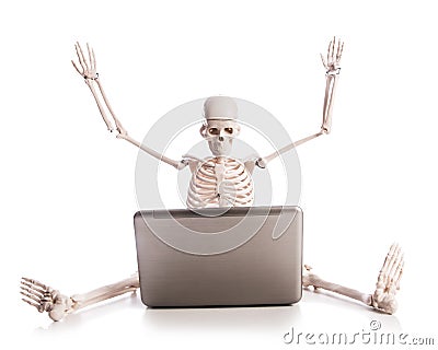 Skeleton Working On Laptop Royalty Free Stock Photo - Image: 29057895