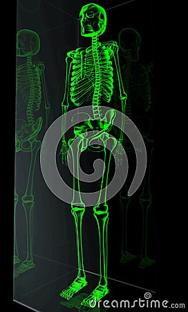 Skelton Royalty Free Stock Photography - Image: 4408617