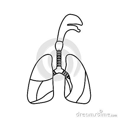 Sketch Silhouette Respiratory System With Windpipe Cartoon Vector ...
