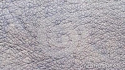 Skin surface texture stock footage. Video of macro, abstract - 256627130