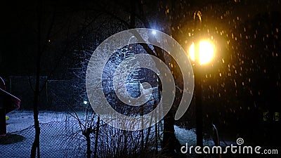 Slow falling snow at night stock video. Video of evening - 208562011