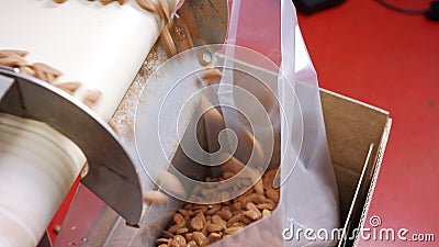 Slow Motion of Almonds Falling from a Conveyor Belt in a Processing ...