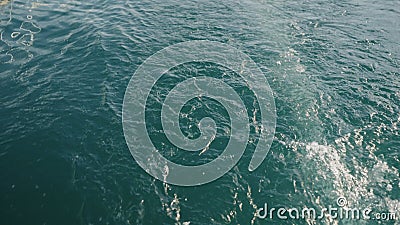 Slow Motion of Boat Trail on a Sea Surface Stock Video - Video of ...