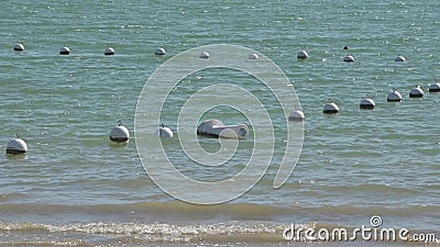 Slow Motion of Bowies Bobbing in the Water Stock Footage - Video of ...