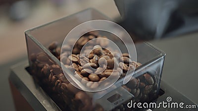 Slow Motion Coffee Beans Falling into a Grinder Stock Video - Video of ...