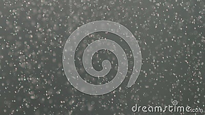 Slow Motion of Fine Dust Particles Falling on Black Background Stock ...