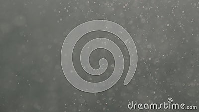 Slow Motion of Fine Dust Particles Falling on Black Background Stock ...