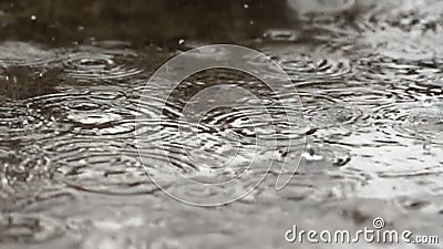 Slow Motion Rain 120 Fps stock video. Video of drops - 49550887