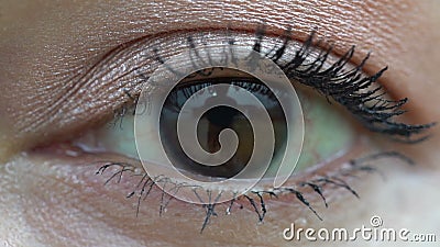 Slow-motion Single Eye Close Up Stock Video - Video of optical, slow ...