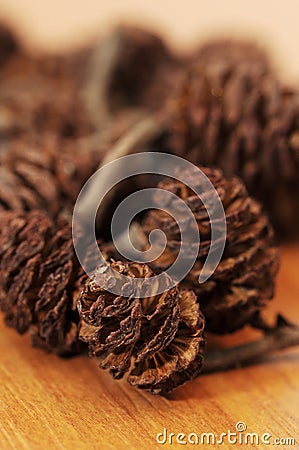 Small Pine Cones Royalty Free Stock Images - Image: 7631199