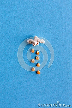 Small Popcorn Cloud With Rain Made Out Of Corn Kernels On Blue ...