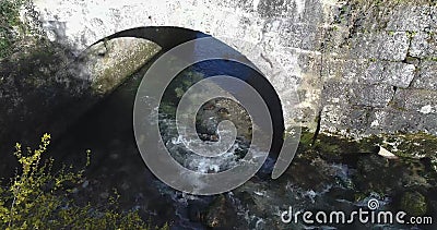 River With Rocks Under Bridge Surrounded By Green Leaf Trees During ...