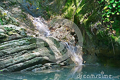 Small Streamlet Flowing Into Lake With Stagnant Water Among The Jungle ...
