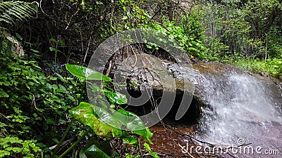 Small Waterfall in a Mountain Stream Stock Video - Video of peaceful ...