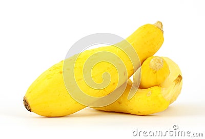 Small Yellow Summer Squash Royalty Free Stock Photography - Image: 15170777