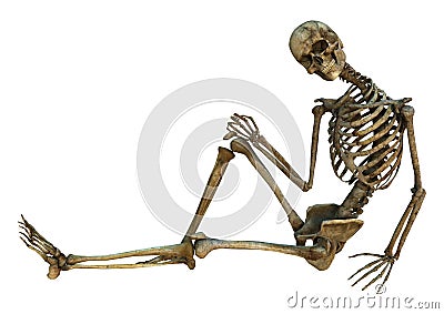 Smiling Skeleton Stock Photography - Image: 37347612