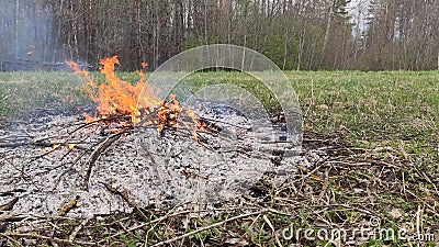 Pile of Ash after the Burning Grass in Countryside Stock Footage ...
