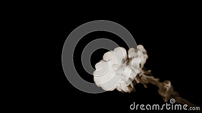 Smoke Stream in Slow Motion. Isolated on Black Background with Backlit ...