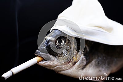 Smoking Fish Stock Image - Image: 11296061