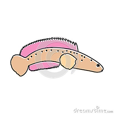 Snakehead Fish Icon Vector Illustration | CartoonDealer.com #282317276
