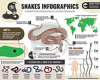 Snakes Reptiles Infographics Cartoon Vector | CartoonDealer.com #211472813