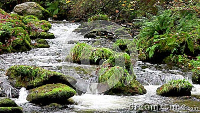 Stromend Water Van De Rivier Geluid Stock Footage - Video of buiten ...