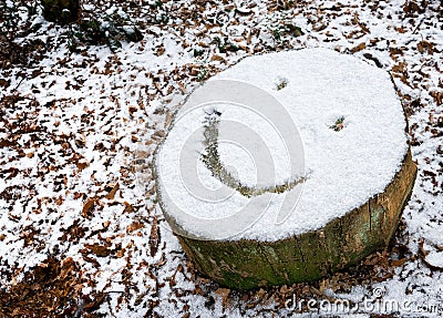 Snow Covered Tree Stump With Smiley Face Emoji Royalty-Free Stock Image ...