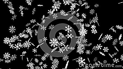 Snow Crystals on Black Background Stock Footage - Video of pattern ...