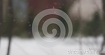 Snow Falling in Slow Motion with Blurred Trees on Background Stock ...