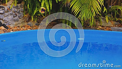 Soap Bubbles Fly Over a Swimming Pool and Jumping on the Water Stock ...