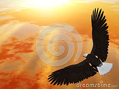 Soaring Eagle Royalty Free Stock Images - Image: 9970599