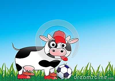 Soccer Cow Stock Image - Image: 10439801