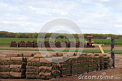Sod Farm Stock Images - Image: 15503884