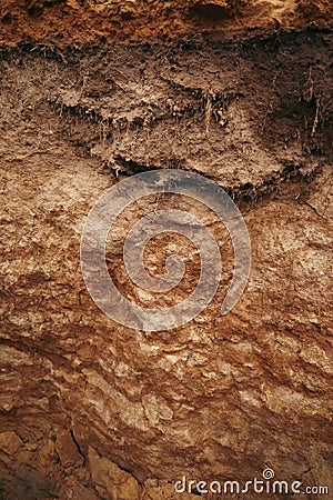Soil Or Dirt Cross Section Close-up. Underground Earth Texture, Cross ...