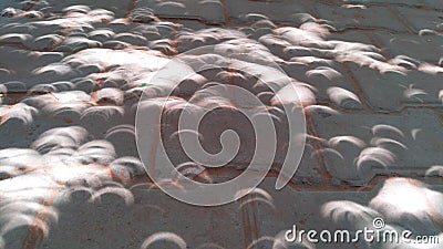 Solar Eclipse Shadow on Stone Floor in the Garden, Seeing Under the ...