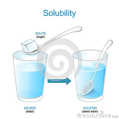 Solubility. Solutions And Mixture. Experiment With Sugar And Glass Of ...